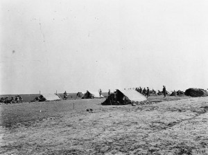 British Entrenching Battalions of 1918 - The Long, Long Trail